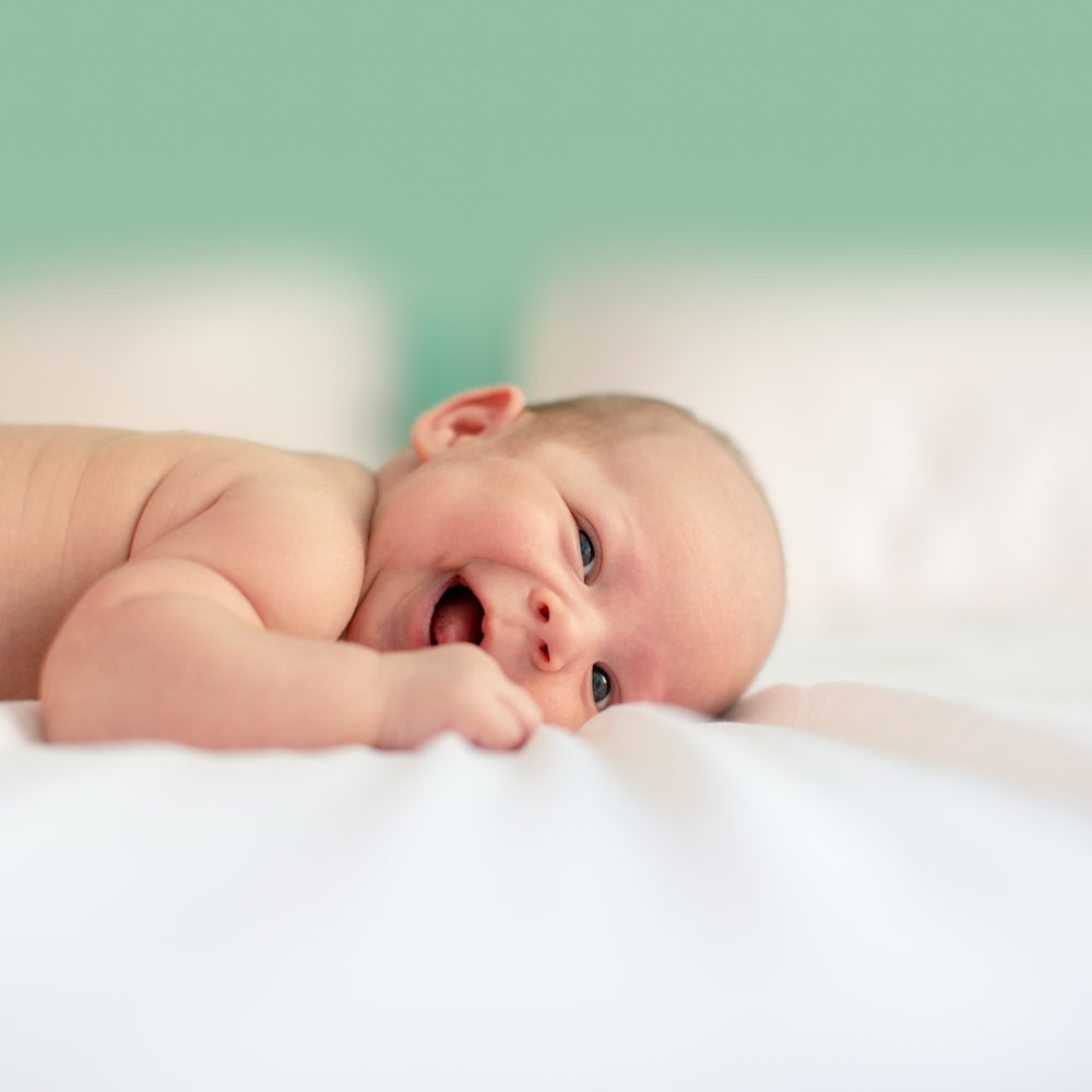 Baby Care – Sociable Weaver Nest