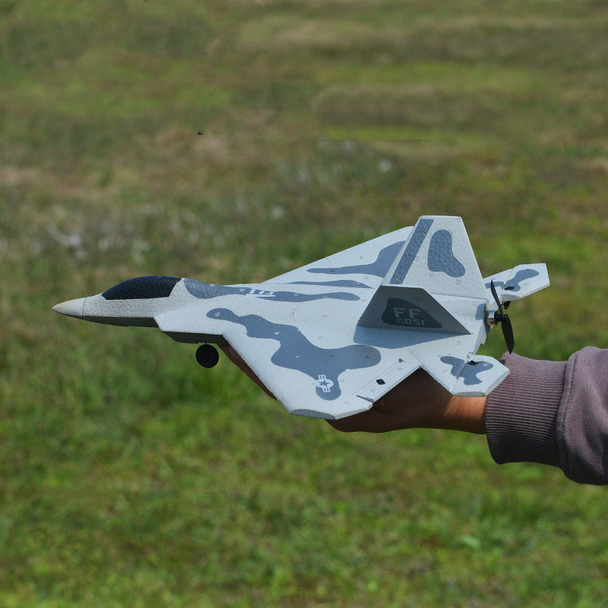 Electric RC Fighter Raptor Model, Airplane Fixed Wing Foam Throwing Ai ...