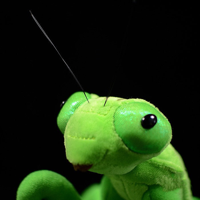 Lifelike Mantis Plush Toys, Mantis Stuffed Animals Toy for Kids ...