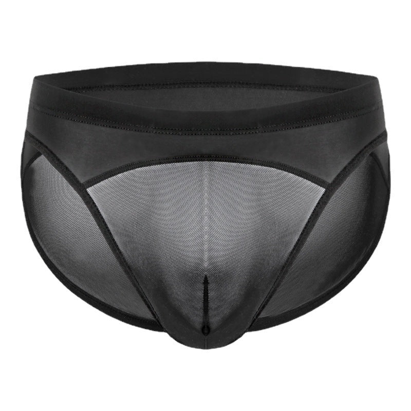 Men's Low Waist Transparent Mesh Briefs – Sociable Weaver Nest